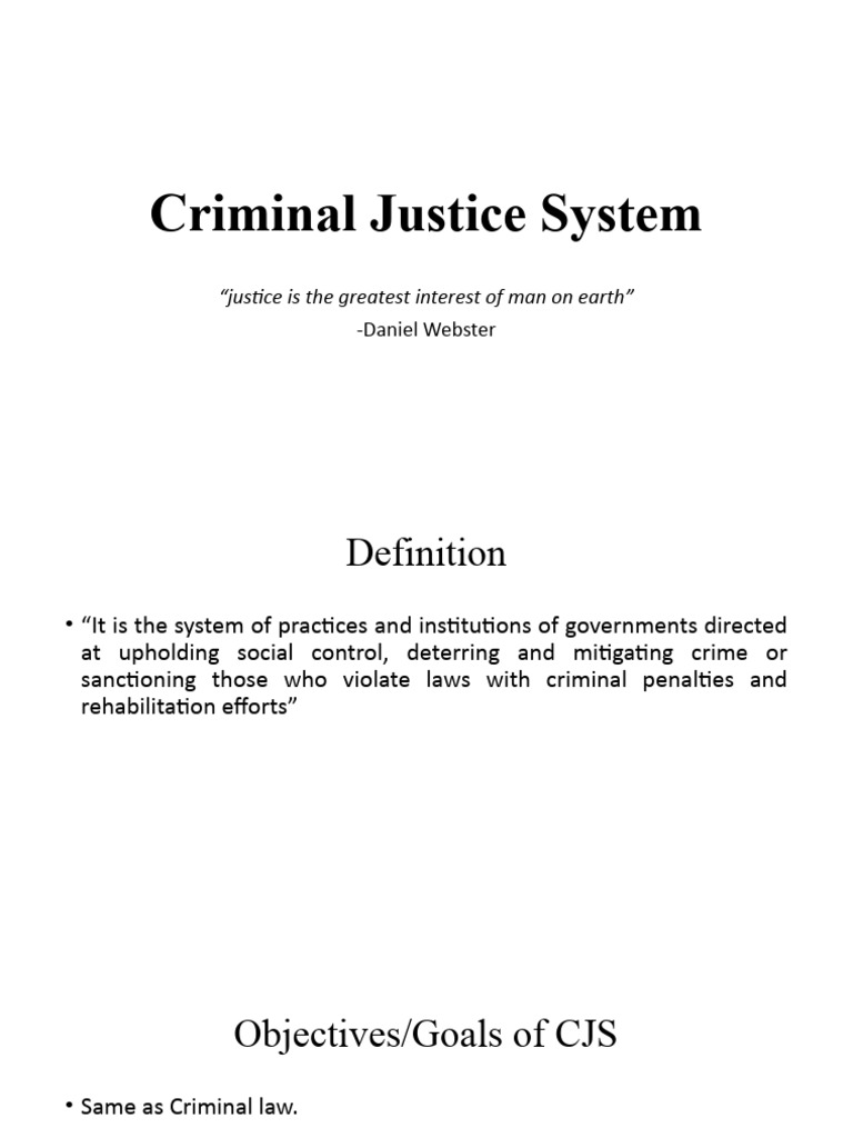 Criminal Justice System | PDF | Probation | Prison