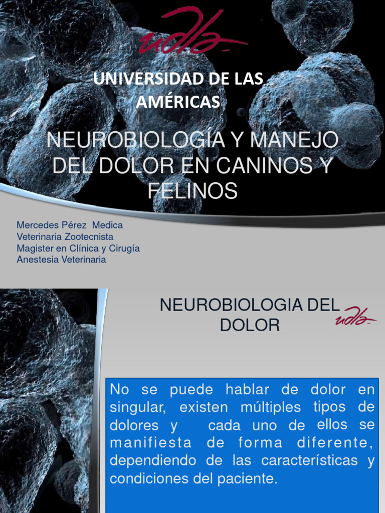 Manejo Del Dolor | PDF | Dolor | Enfermedades y trastornos