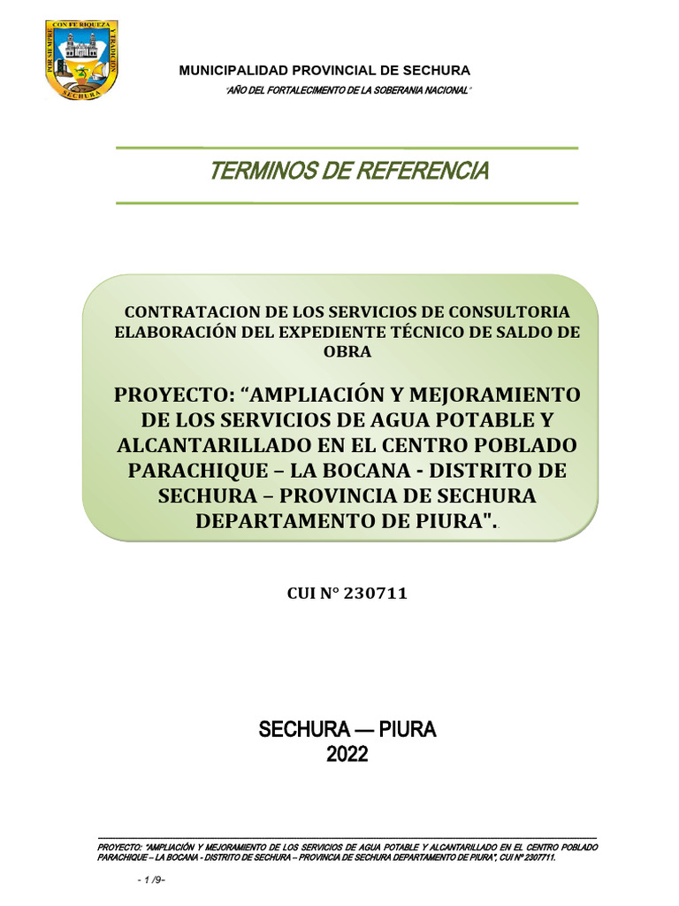 TDRs Elaboracion Expediente Saldo de Obra | PDF | Ingeniero civil ...