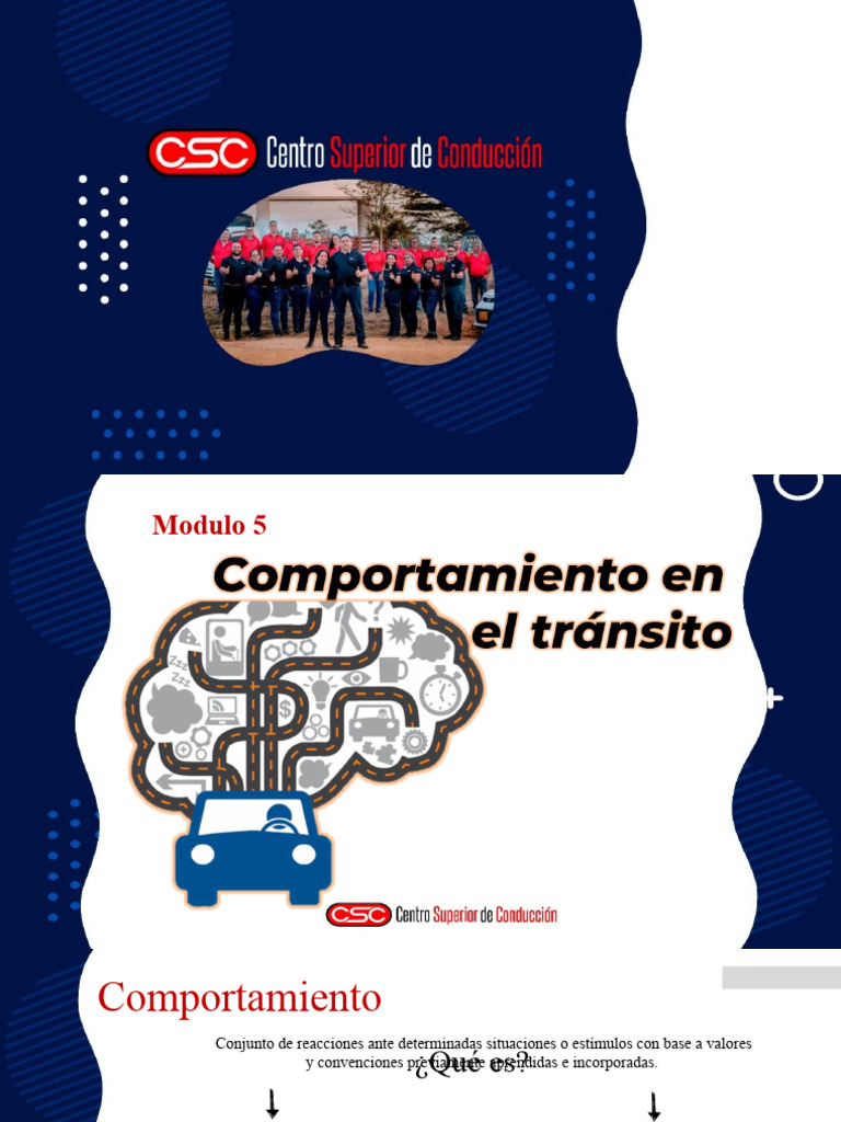 Posturas y Seguridad al Conducir | PDF | Sicología | Ciencias del ...