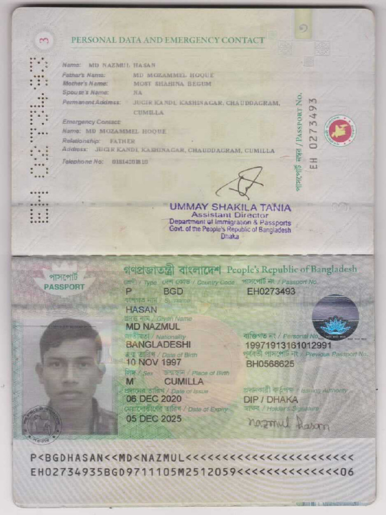Passport and Visas | PDF
