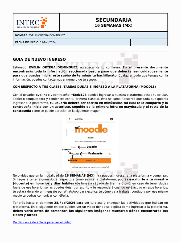 INTEC | PDF | Informática | Software