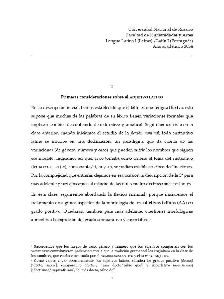 Teórico Nº3 LLI 2024 | PDF | Adjetivo | Género gramatical
