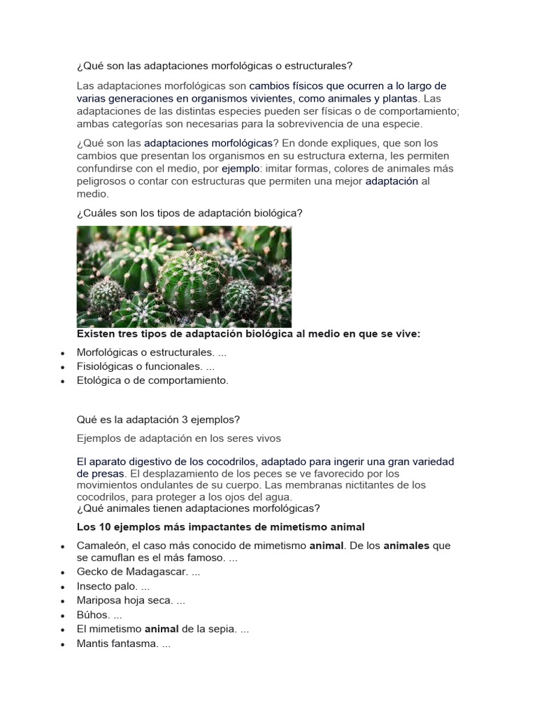 Qué Son Las Adaptaciones Morfológicas o Estructurales | PDF ...