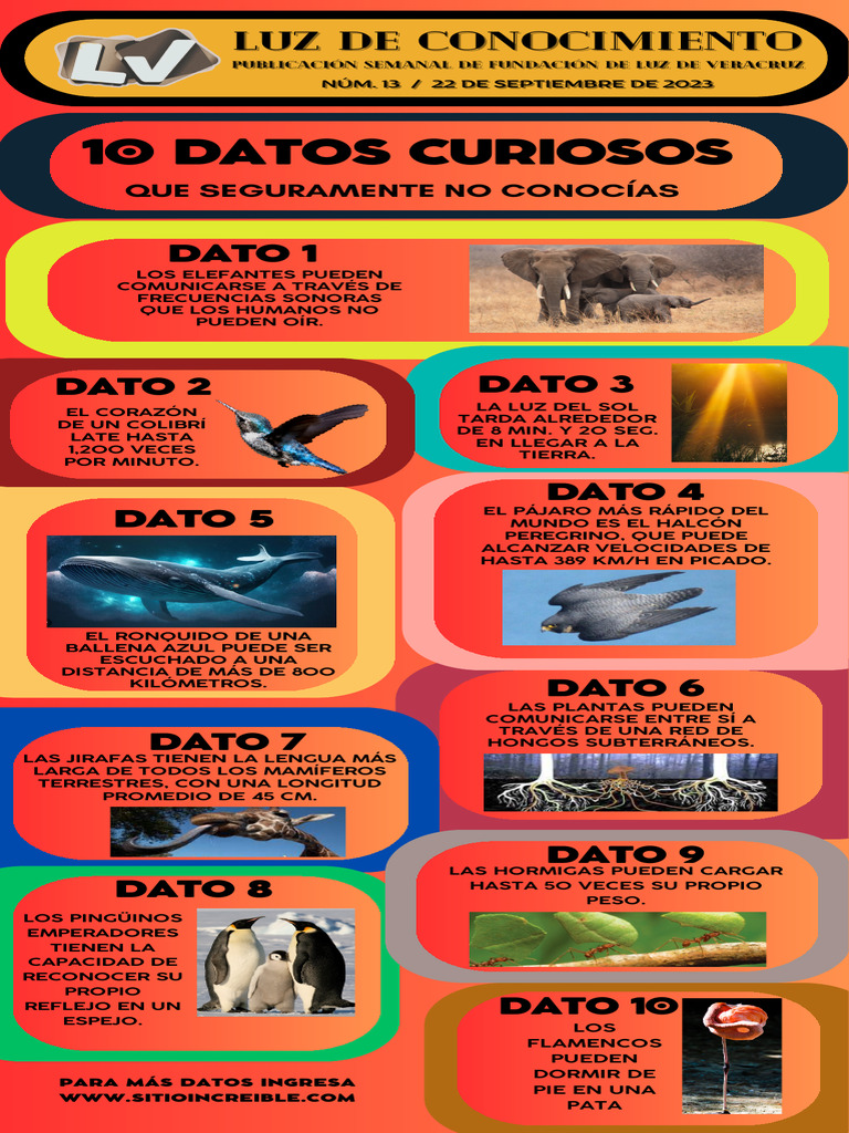 10 Datos Curiosos de Animales | PDF | Zoología