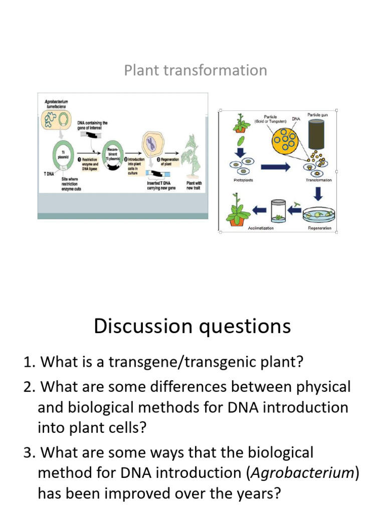 Plant Transformation Techniques Overview | PDF | Biology | Biochemistry