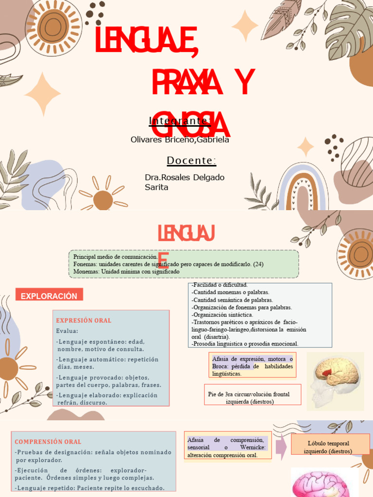Lenguaje, Praxia y Gnosia | PDF | Afasia | Cerebro
