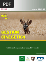 Leyenda de Chasca, la Virgen del Agua | PDF