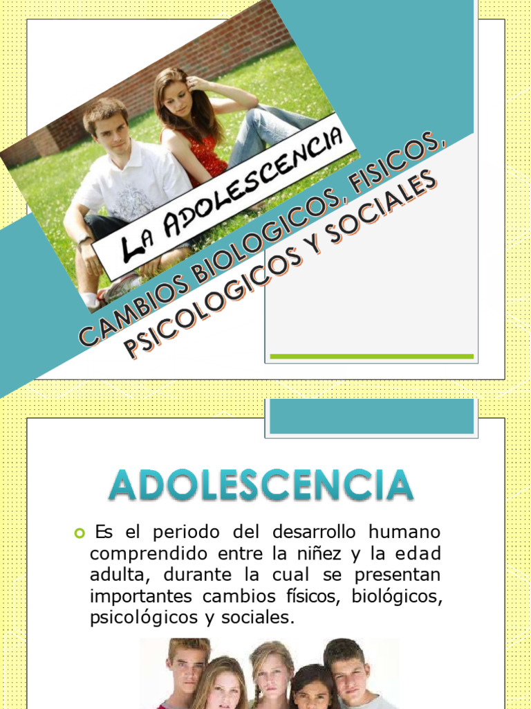 Cambios Fisicos en La Adolescencia | PDF | Adolescencia | Pubertad