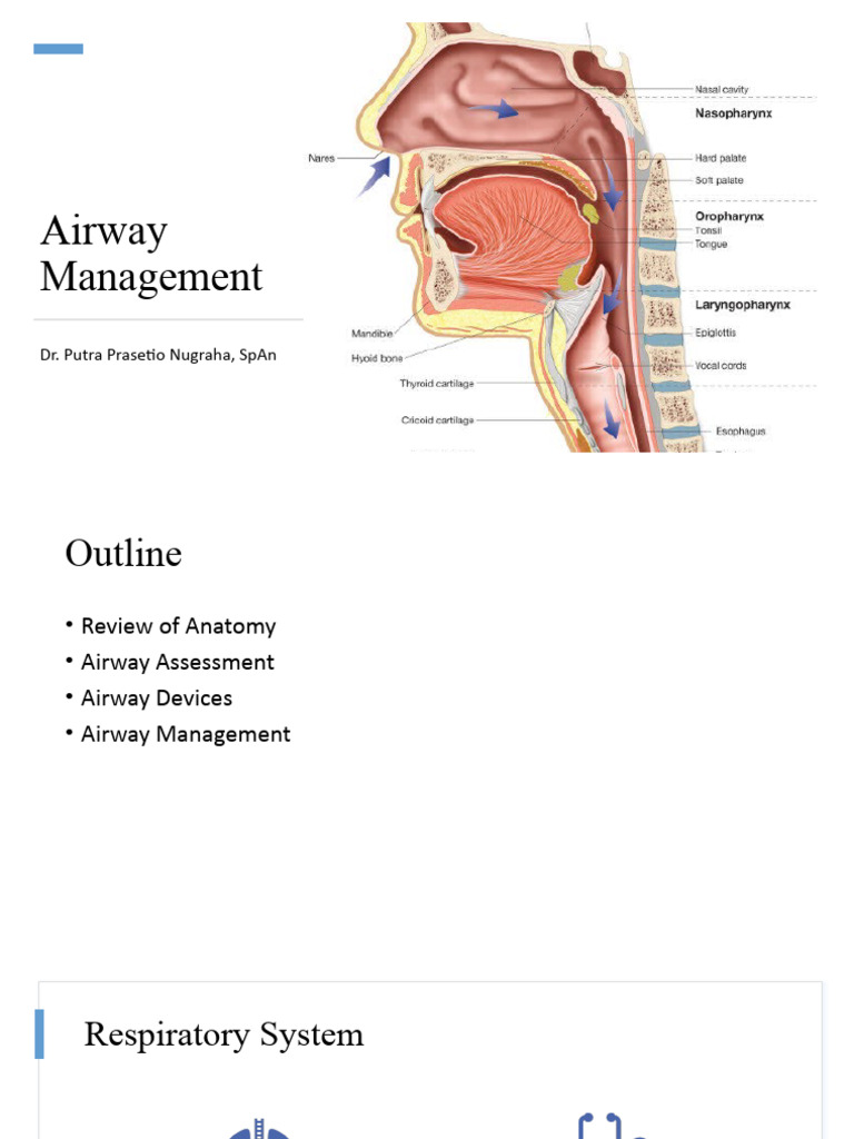 Airway Management | PDF | Larynx | Respiratory Tract