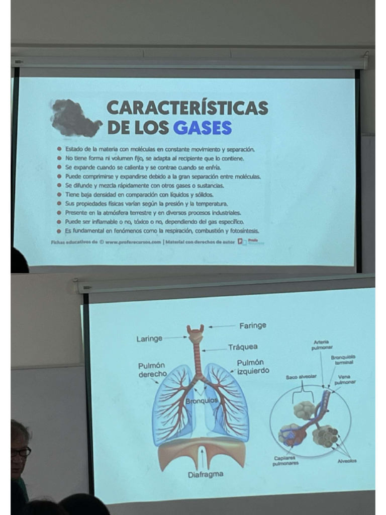 Clasificación de Los Gases | PDF