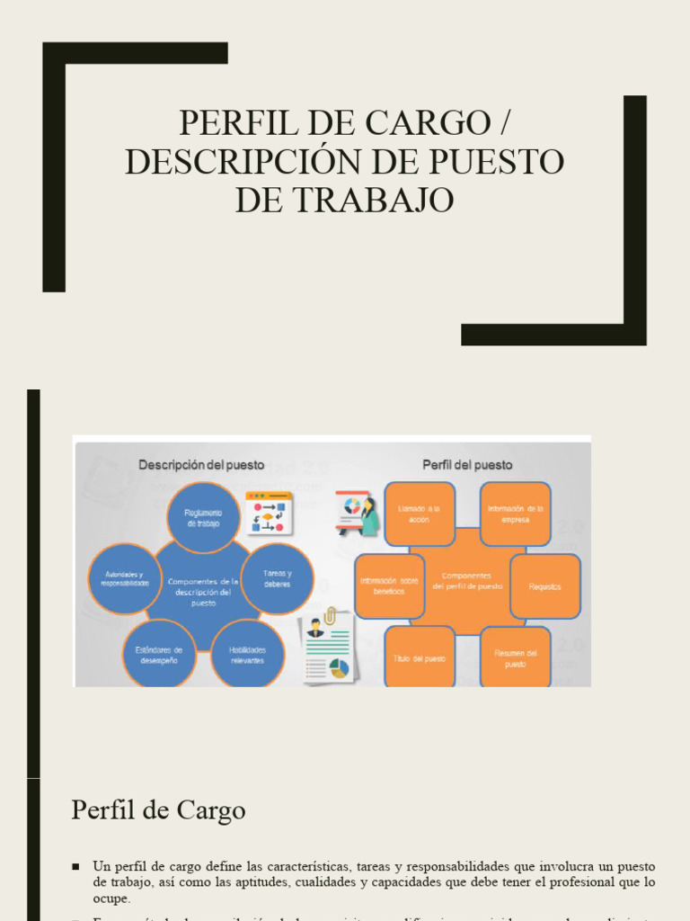 Perfil de Cargo | PDF