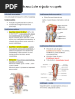 PNF - Kabat | PDF | Músculo esquelético | Neurociência