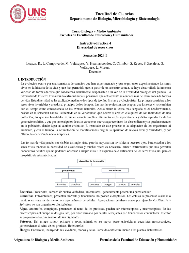 Instructivo 4 Diversidad de Organismos | PDF | Evolución | Eucariotas