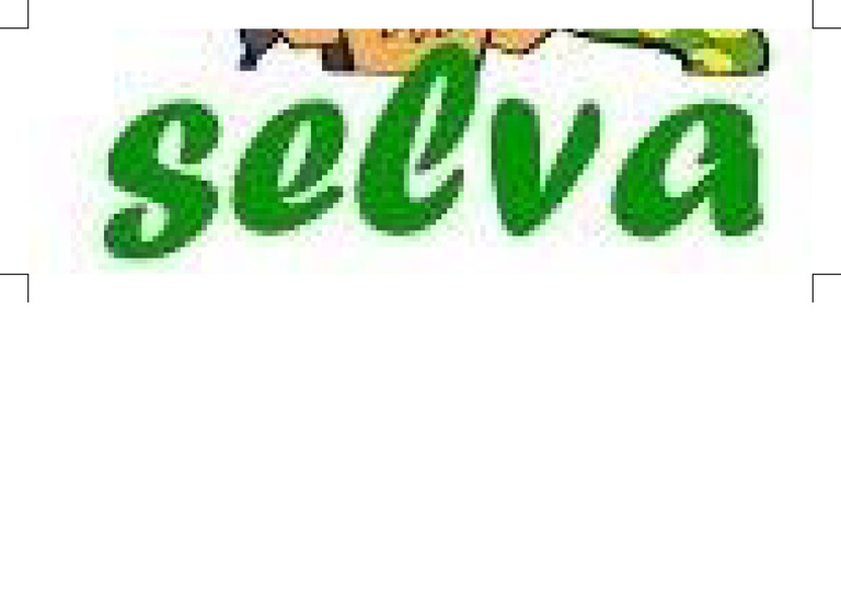 SELVA | PDF
