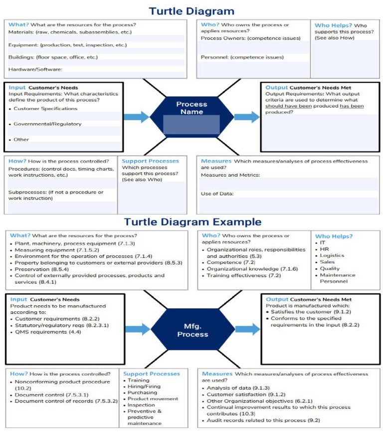 Turtle Diagram | PDF