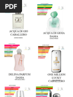 Beginning Spanish Fashion Show Project | PDF | Nature