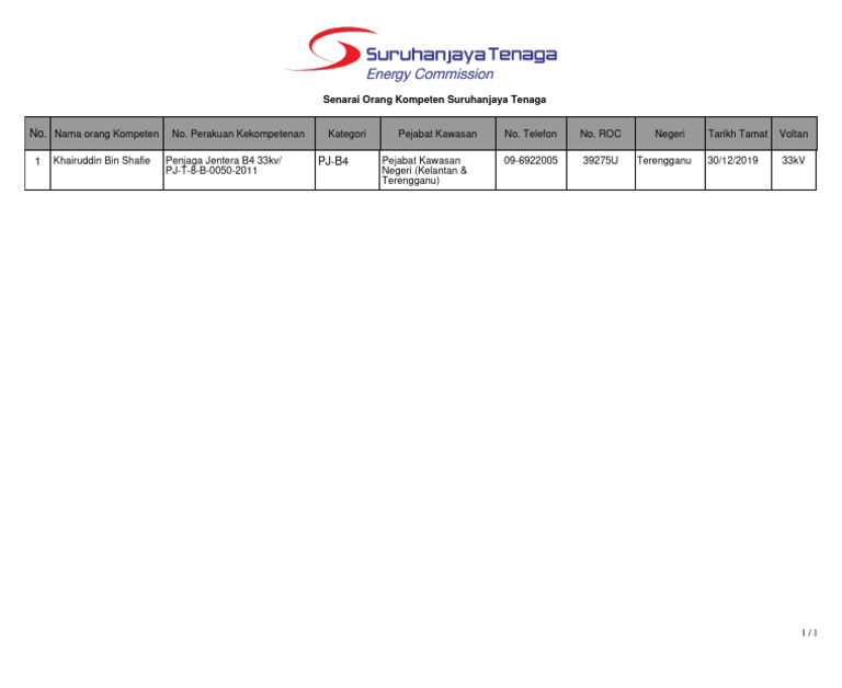 Senarai Orang Kompeten Suruhanjaya Tenaga | PDF
