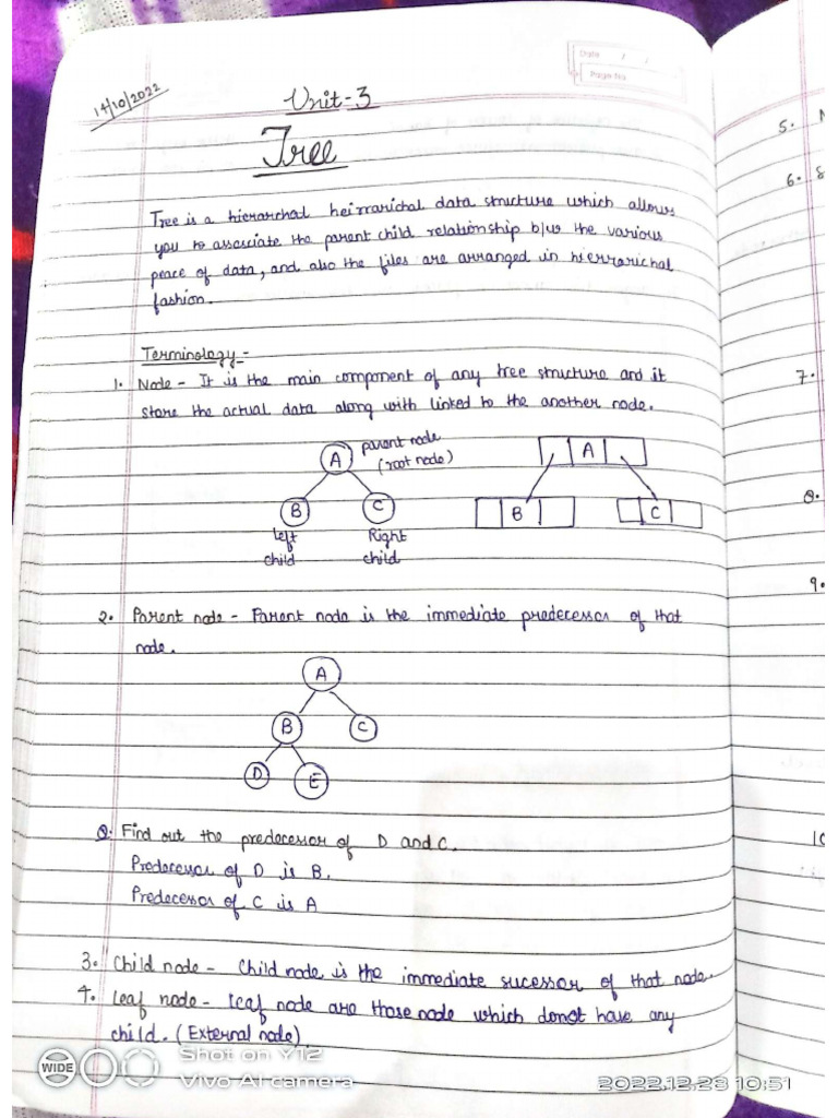 Tree and Graph PDF | PDF