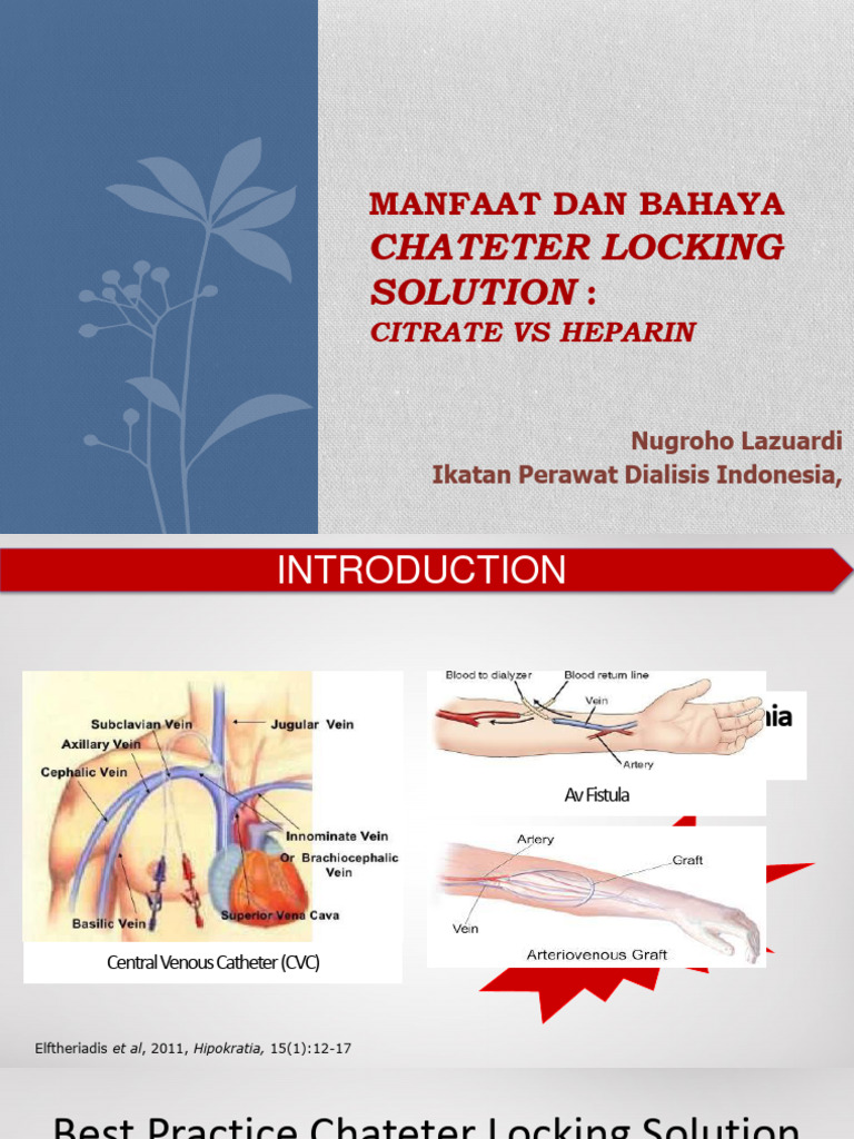 Benefit & Harm Catheter Locking Solution | PDF