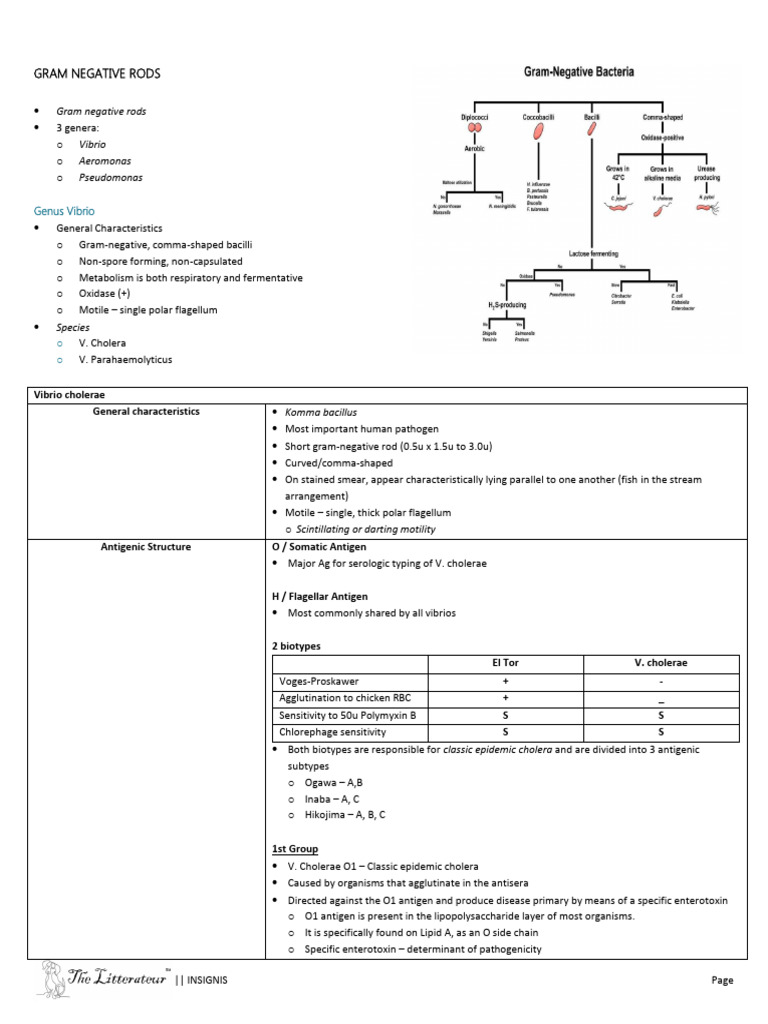 Gram-Negative Rods: Vibrio & Pathogenicity | PDF | Biology | Microbiology