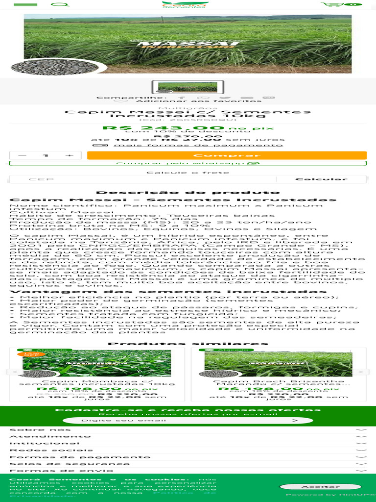 Capim Massai: Sementes Incrustadas 10kg | PDF | Semente