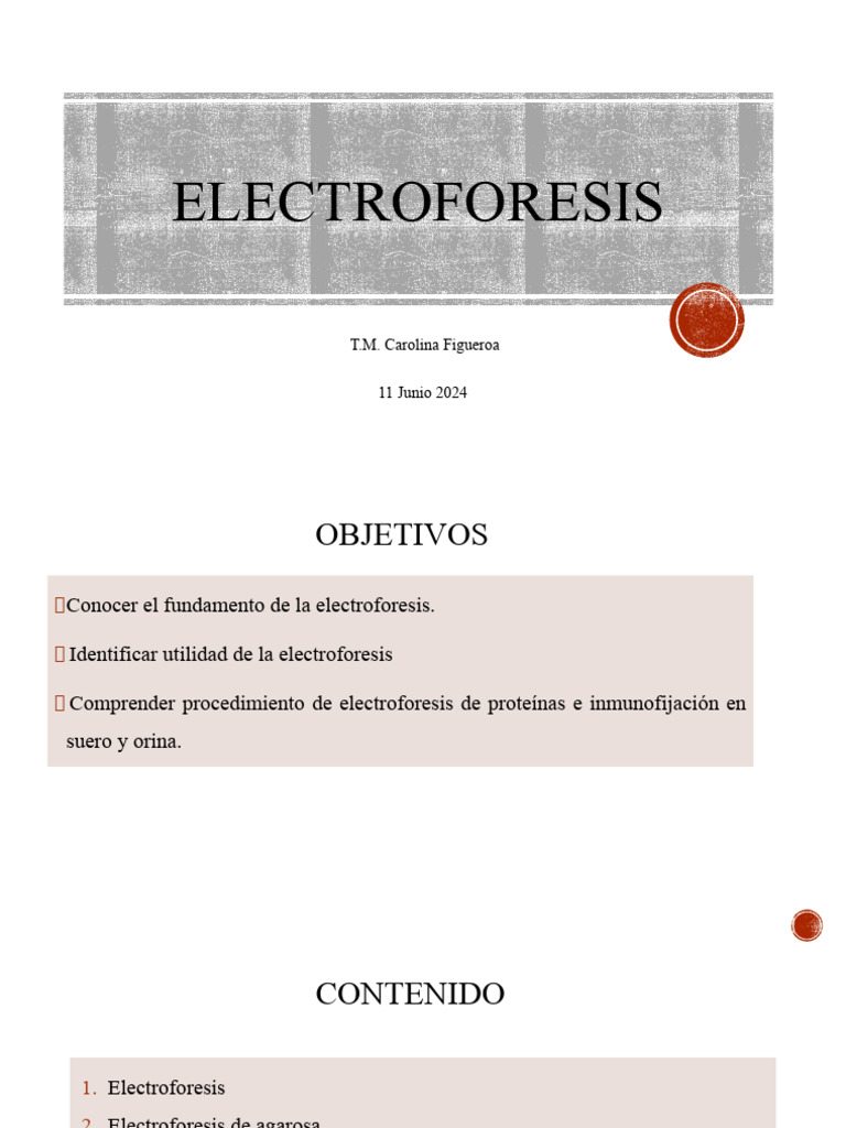 Electroforesis pptx-1 | PDF | Electroforesis | Anticuerpo