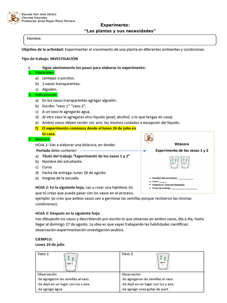Experimento Las Plantas (1) | Descargar gratis PDF | Experimentar | Hoja