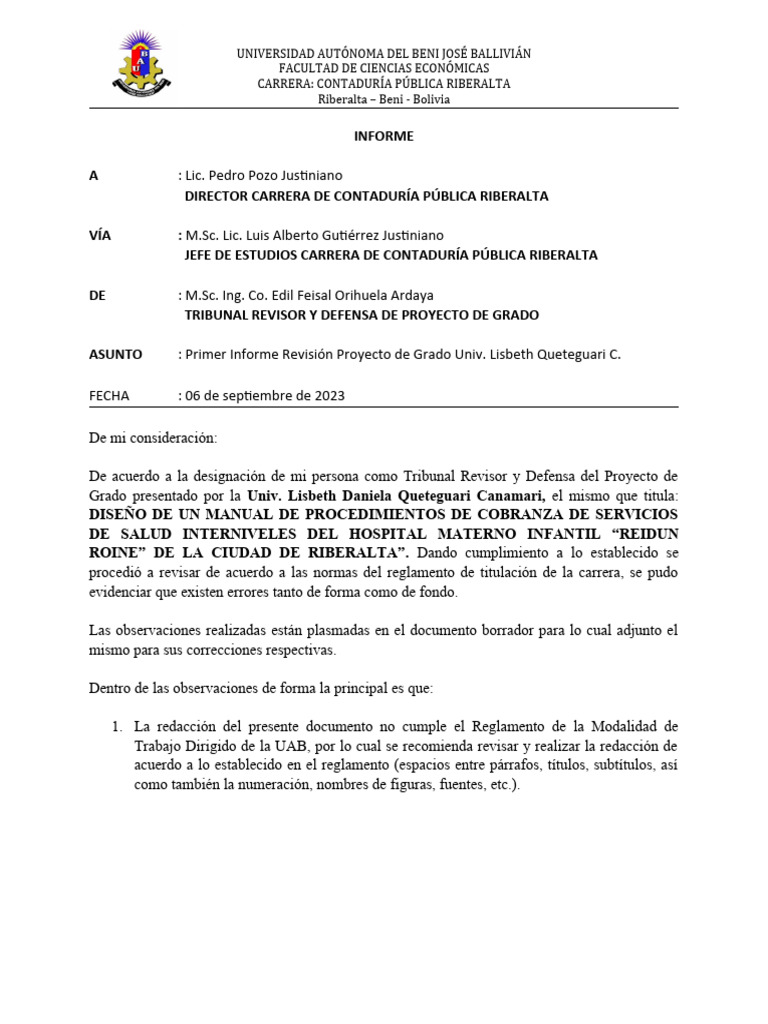 1er. Informe Borrador LDQ | PDF