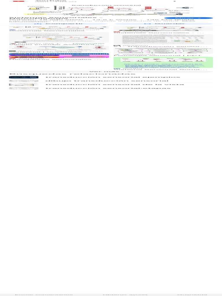 Esquema de Transducción Sensorial - Buscar Con Google | PDF