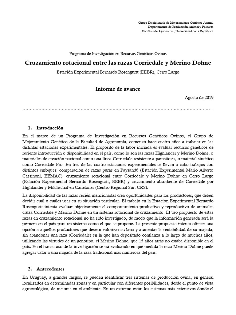 Informe de Avance #2 Ovinos EEBR 8.2019 | PDF | Oveja