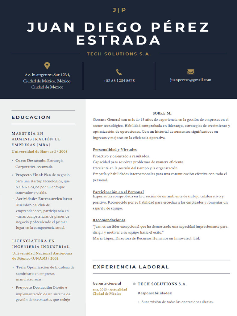 Currículum Juan Pérez | PDF