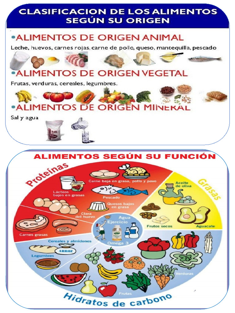 Alimentos Según Su Origen y Función | PDF