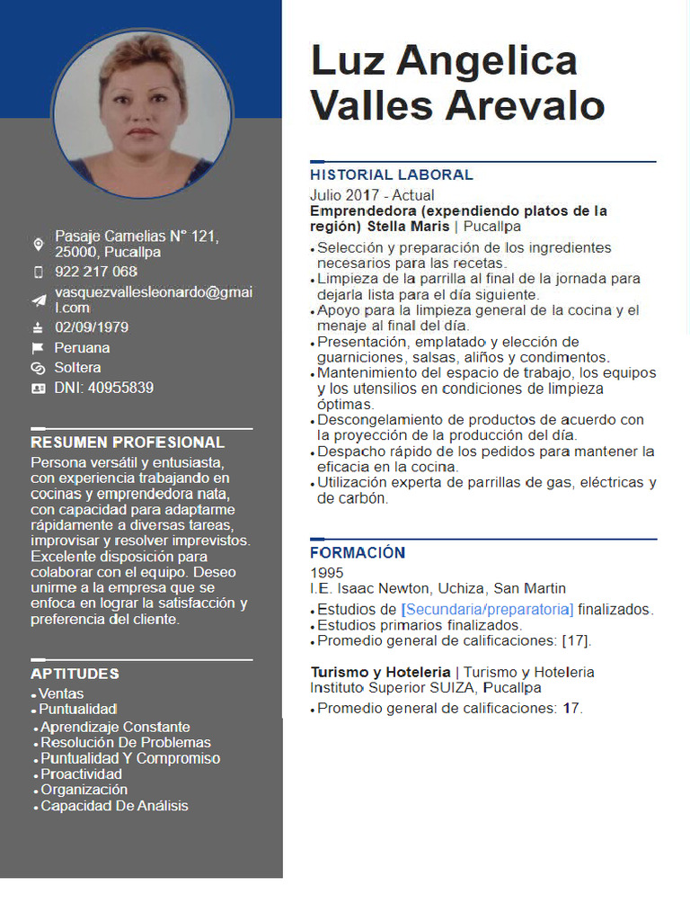 CV Luz Angelica | PDF