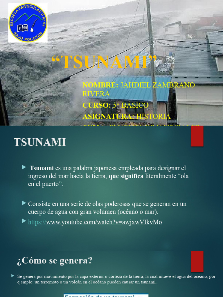 Tsunami | PDF
