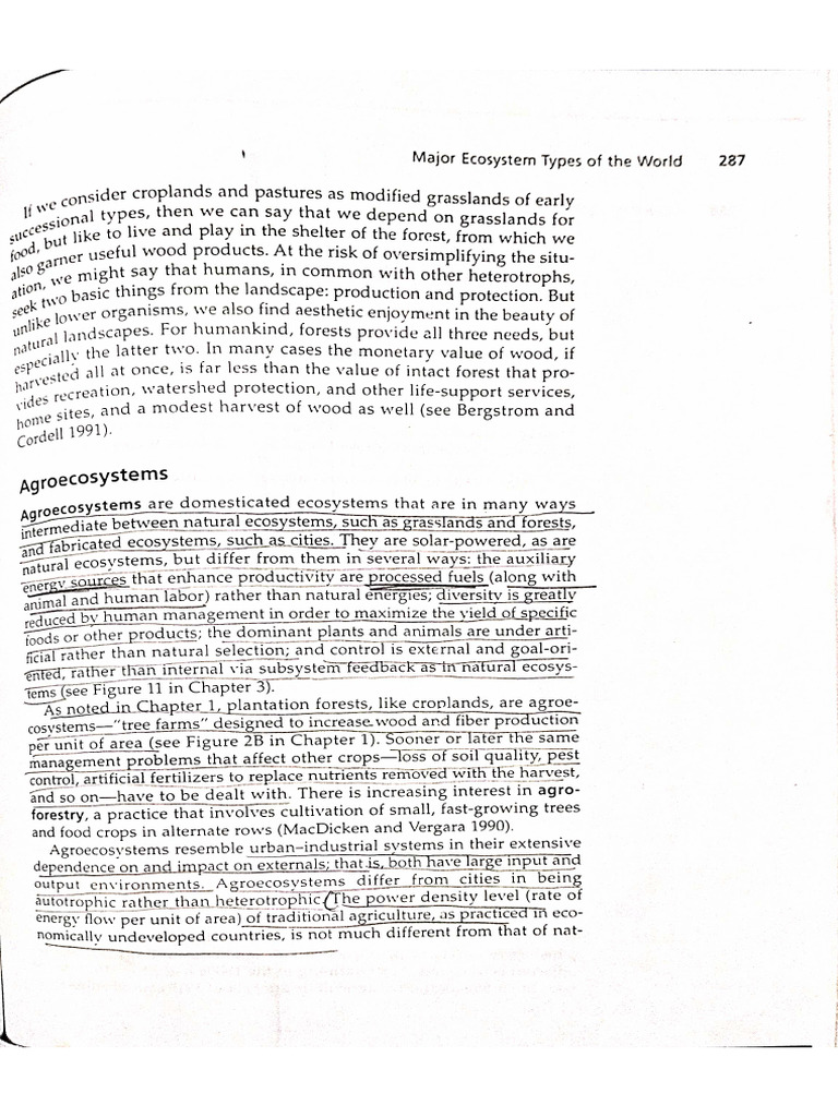 Artificial Ecosystem | PDF