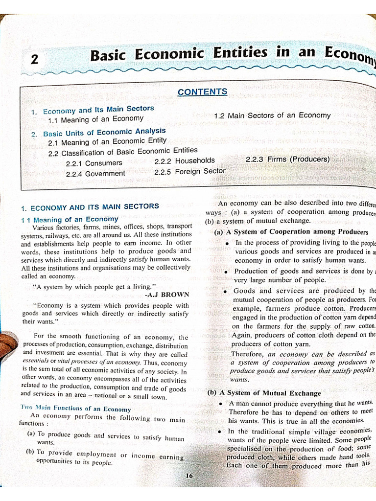 Basic Economic Entities | PDF