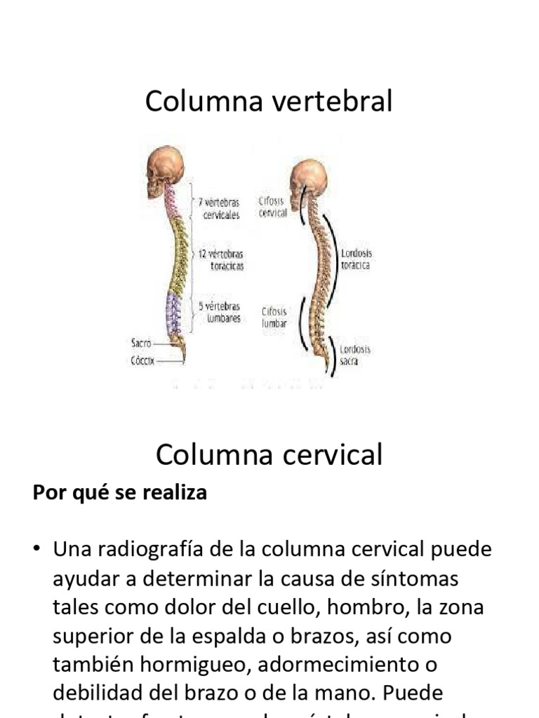 Columna | PDF | Estudios de idiomas extranjeros | Salud y bienestar