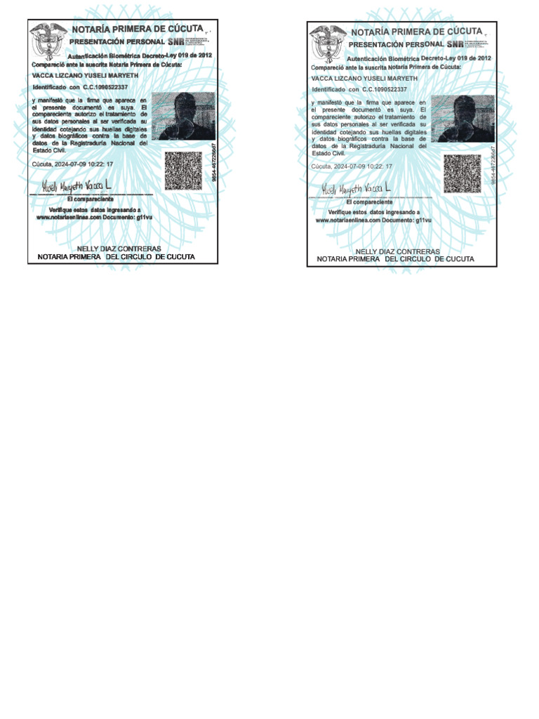 Vacca 2 | PDF | Vigilancia | Control de acceso