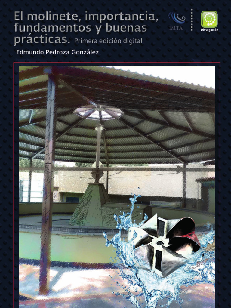 Libro El Molinete Importancia Fundamentos Buenas Practicas 2 ...
