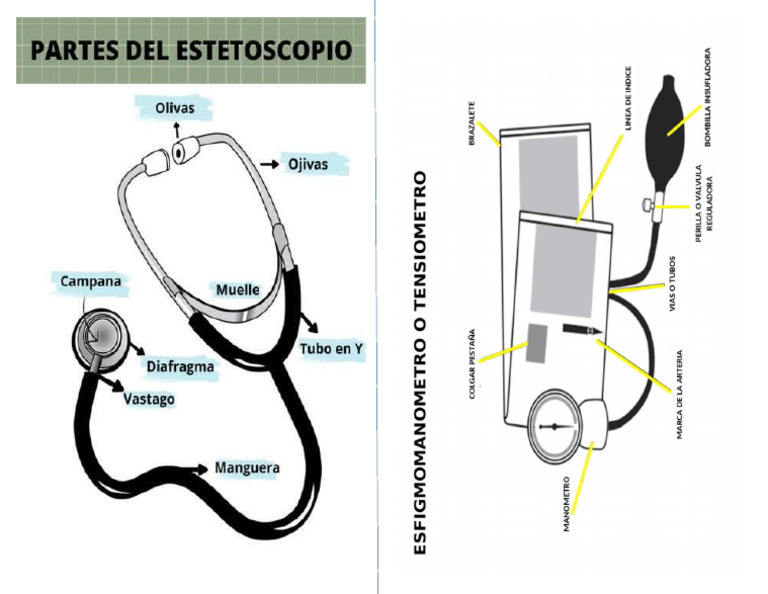 Esfigmomanometro y Estetoscopio | PDF