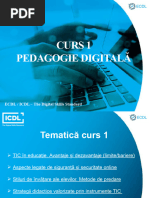 Fise de Lucru-Tic | PDF