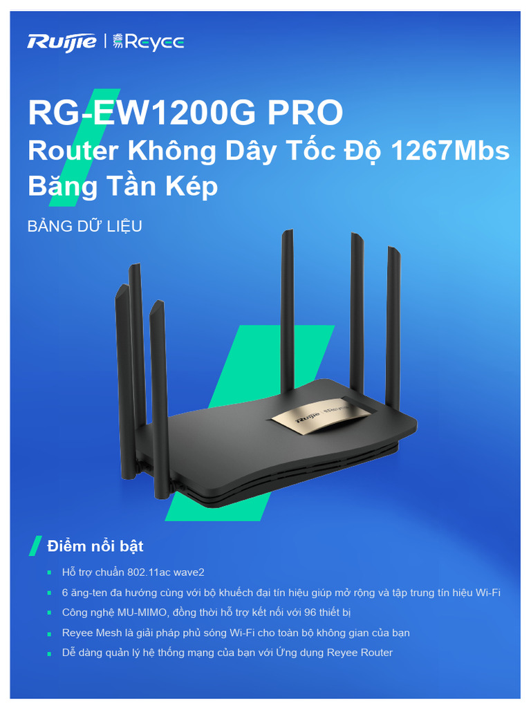 Rg-Ew1200g Pro | PDF