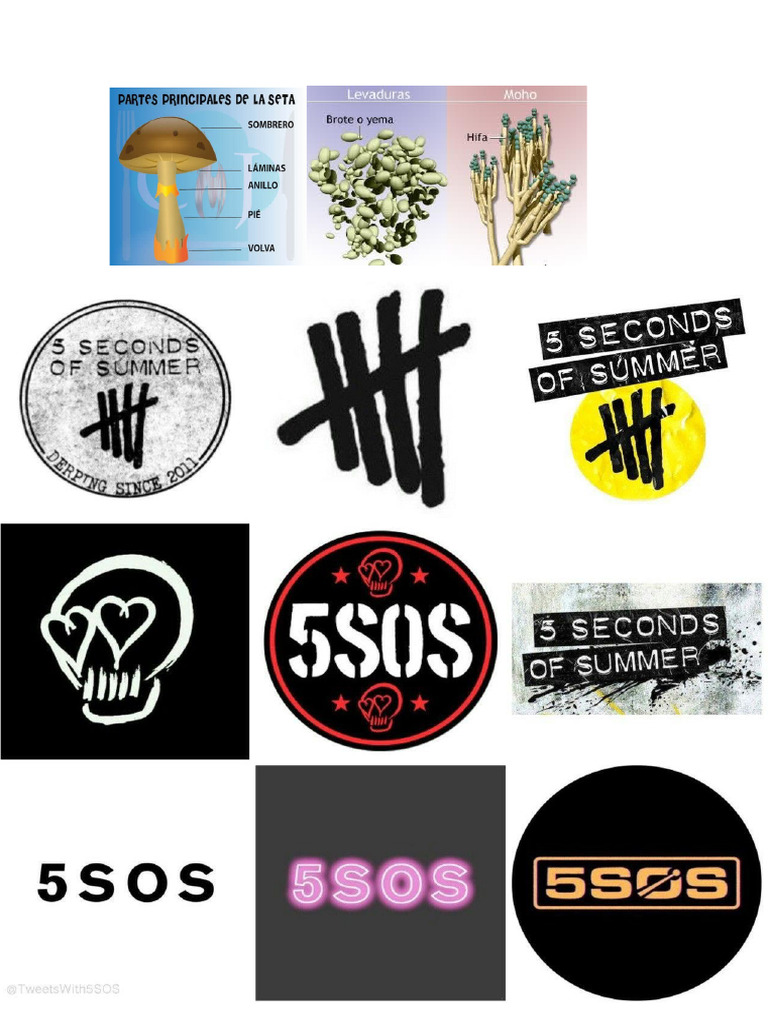 5sos | PDF