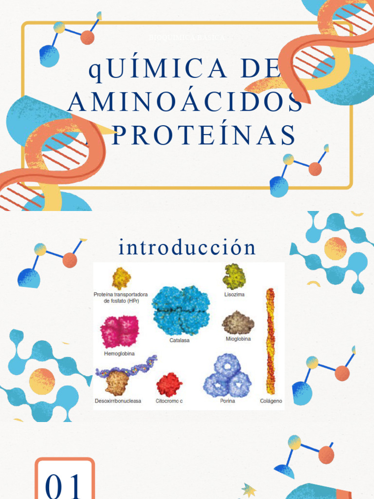 Bioquímica Básica | PDF | Péptido | Aminoácidos