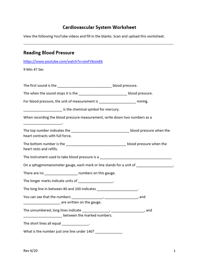 BIO 142 Lab 6 Cardiovascular System Worksheet | PDF | Heart | Heart Valve