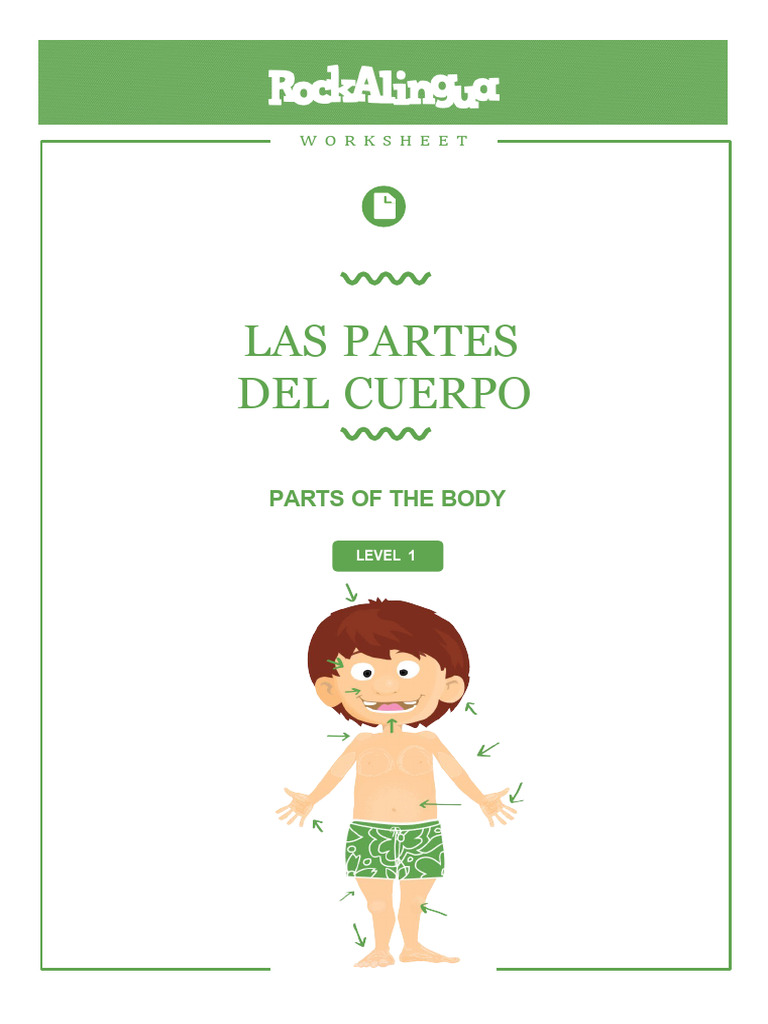 Las Partes Del Cuerpo (Worksheet) | PDF | Anatomía humana