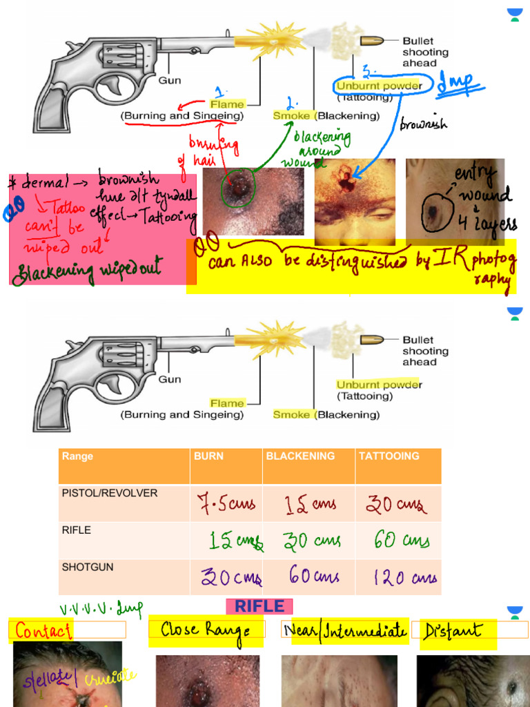 Gun Pdf