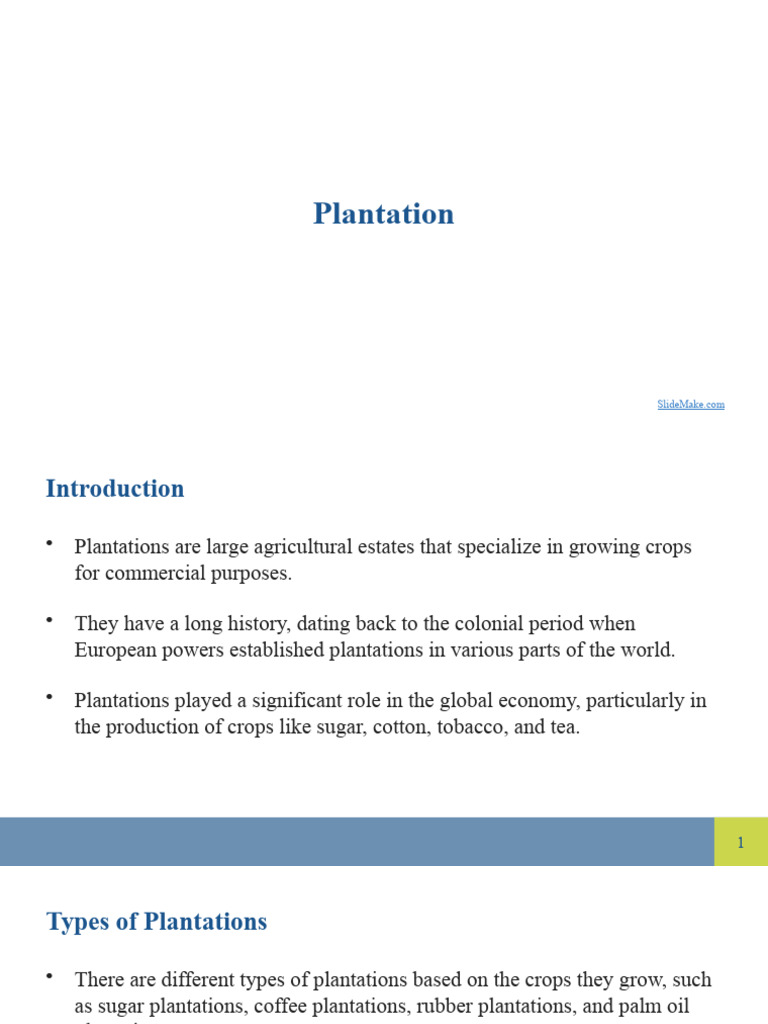 Plantation (1) | PDF | Plantation | Agriculture