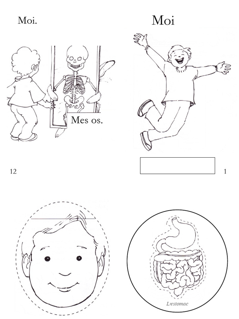 Printable My Body Mini Book PDF | PDF | Language Arts & Discipline